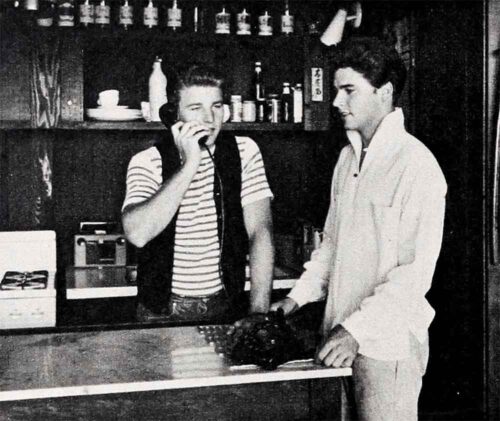 David Nelson And Ricky Nelson - Vintage Paparazzi