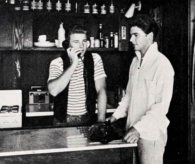 David Nelson And Ricky Nelson - Vintage Paparazzi