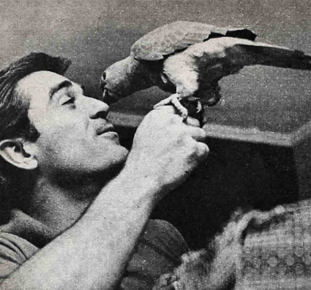 Lonely Lochinvar—Steve Cochran - Vintage Paparazzi