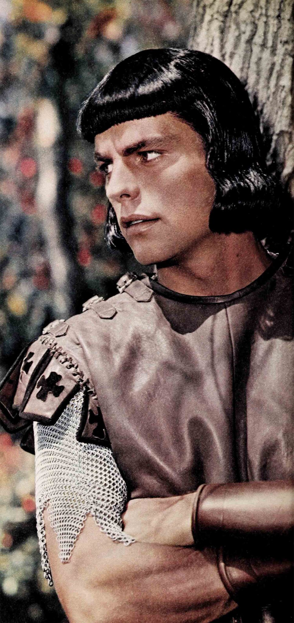 Prince Valiant - Vintage Paparazzi