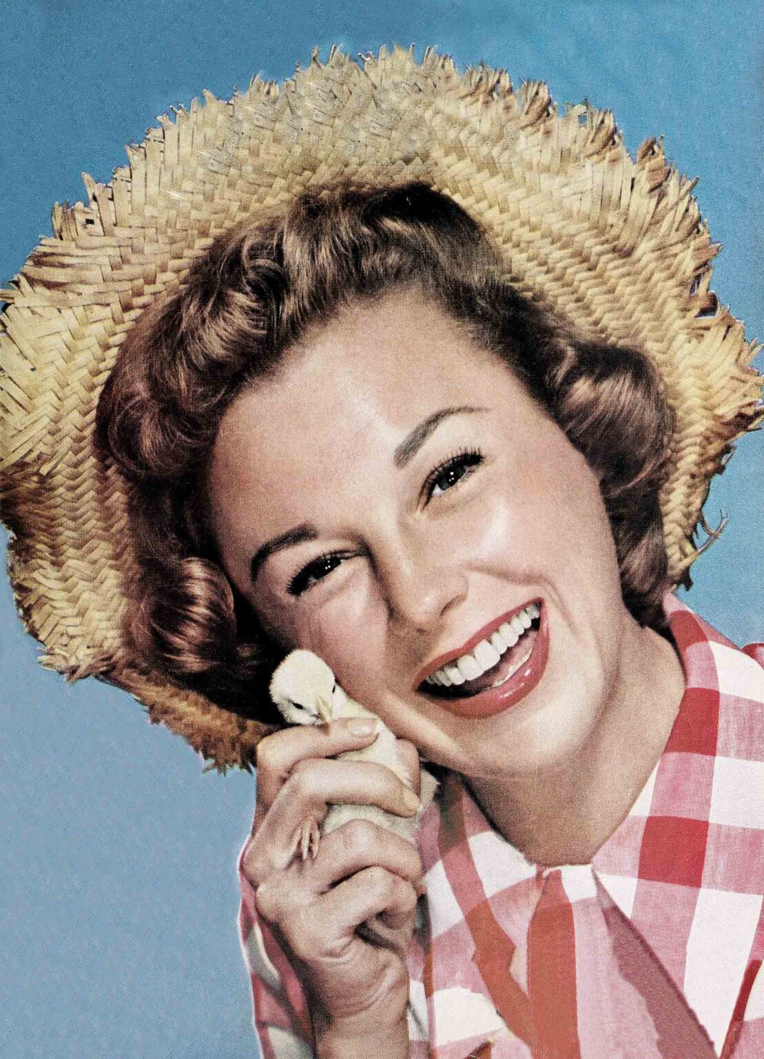 She Was A Prisoner Of Fear—June Allyson - Vintage Paparazzi