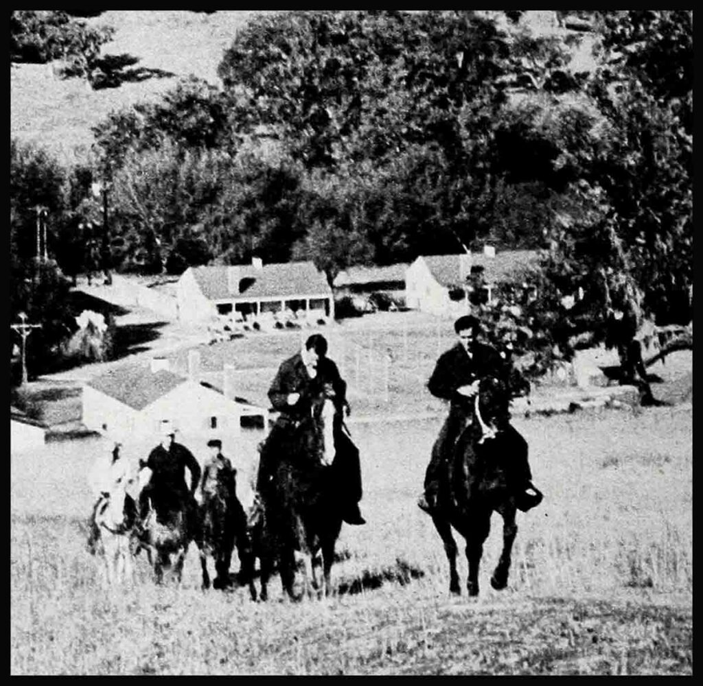 We Saved Our Marriage—Donald O’Connor & Gwen Carter - Vintage Paparazzi