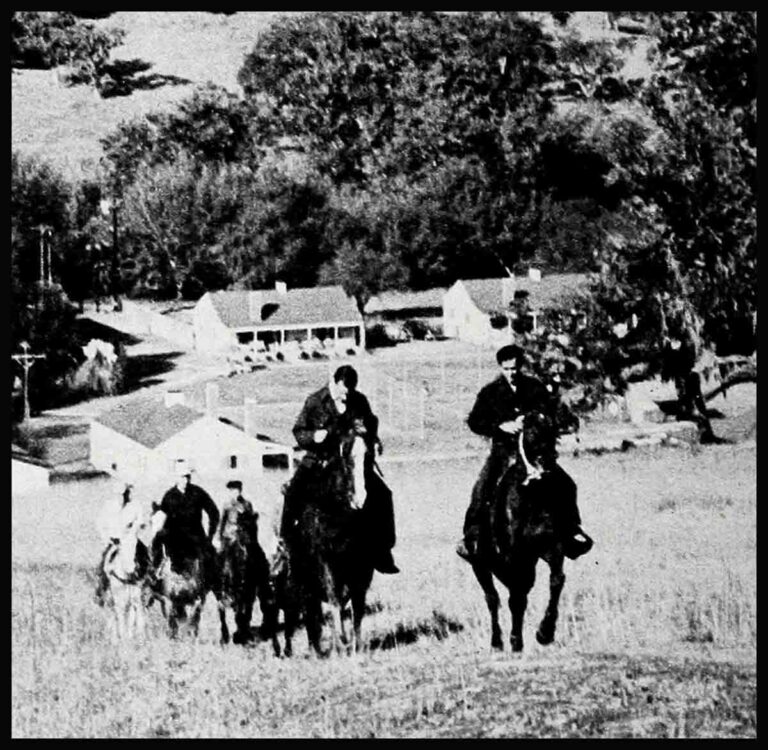 We Saved Our Marriage—Donald O’Connor & Gwen Carter - Vintage Paparazzi