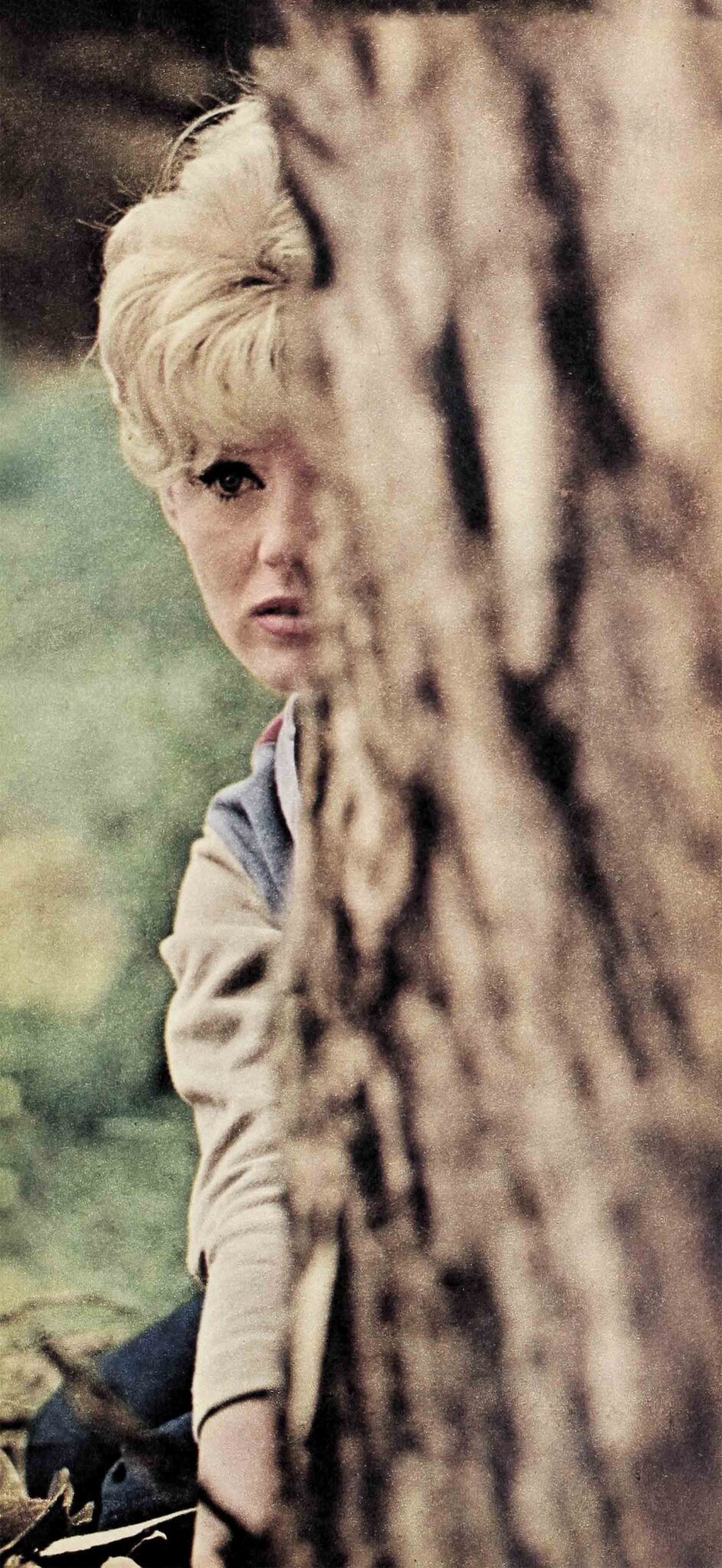 Did Elvis Presley Give Connie Stevens The Brushoff? - Vintage Paparazzi