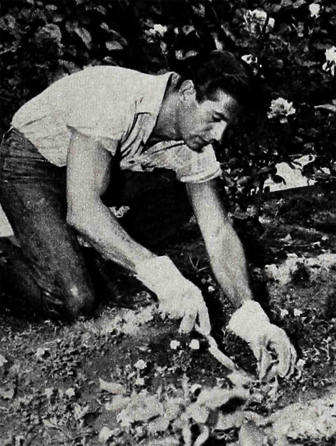 My First And Last Words On George Nader - Vintage Paparazzi