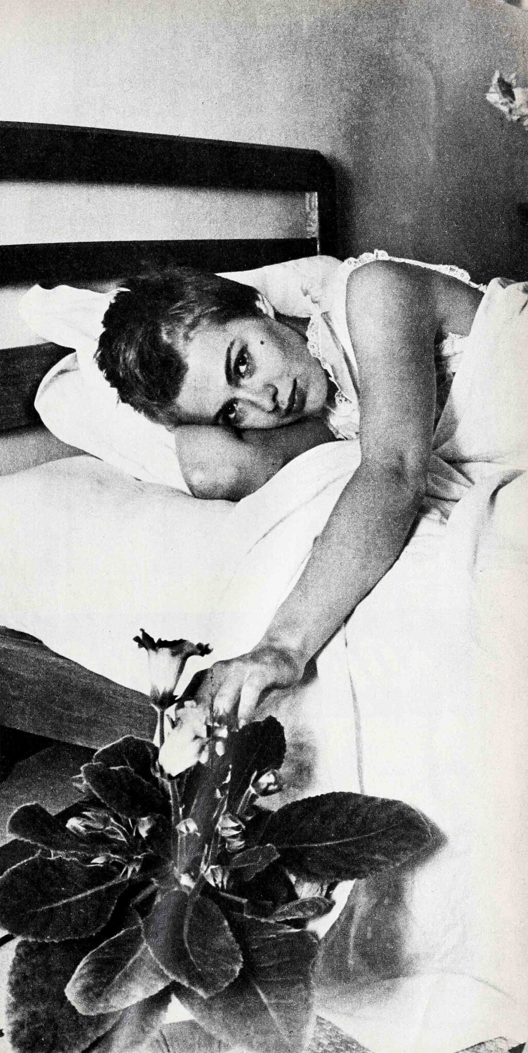 Sprite With Spunk—Jean Seberg - Vintage Paparazzi
