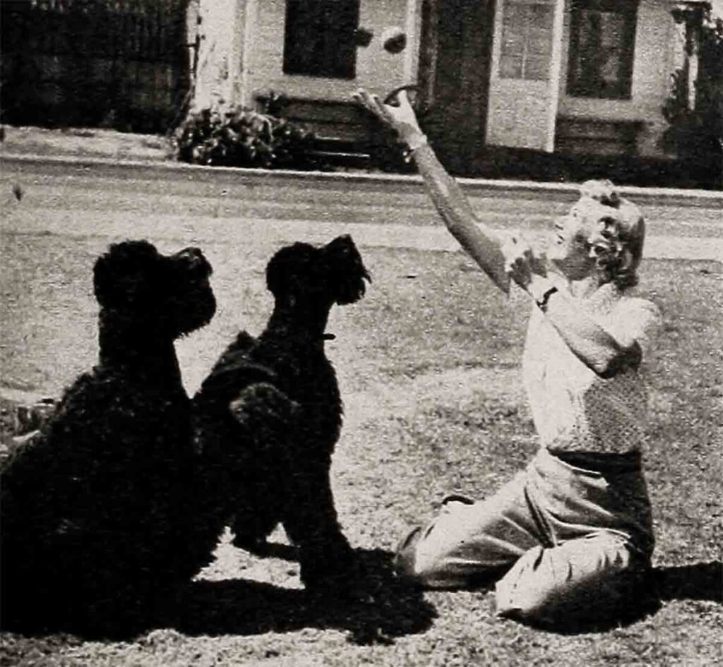 It’s Reigning Cats And Dogs - Vintage Paparazzi