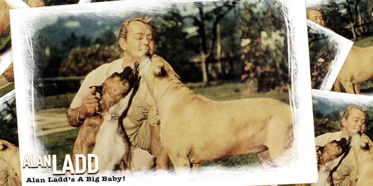 Alan Ladd’s A Big Baby! - Vintage Paparazzi