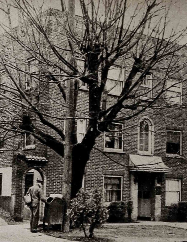 My Home Town—Jane Powell - Vintage Paparazzi