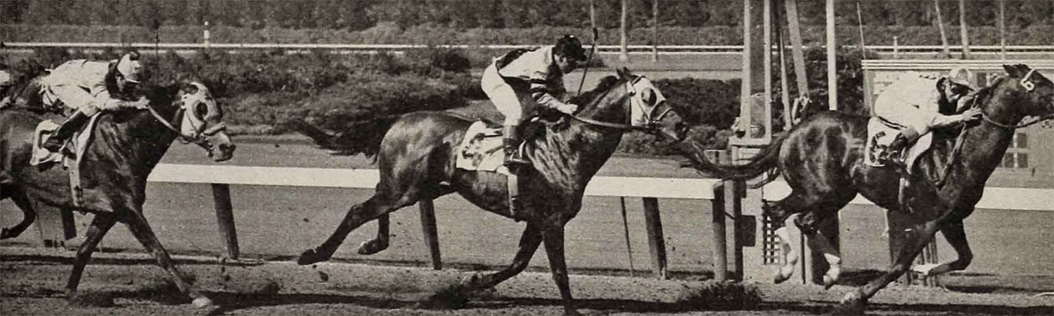 Love Is A Long Shot—Betty Grable - Vintage Paparazzi