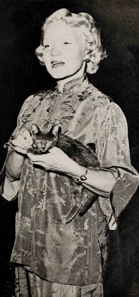 The Waiting Game—Gregory Peck & Greta Kukkonen - Vintage Paparazzi