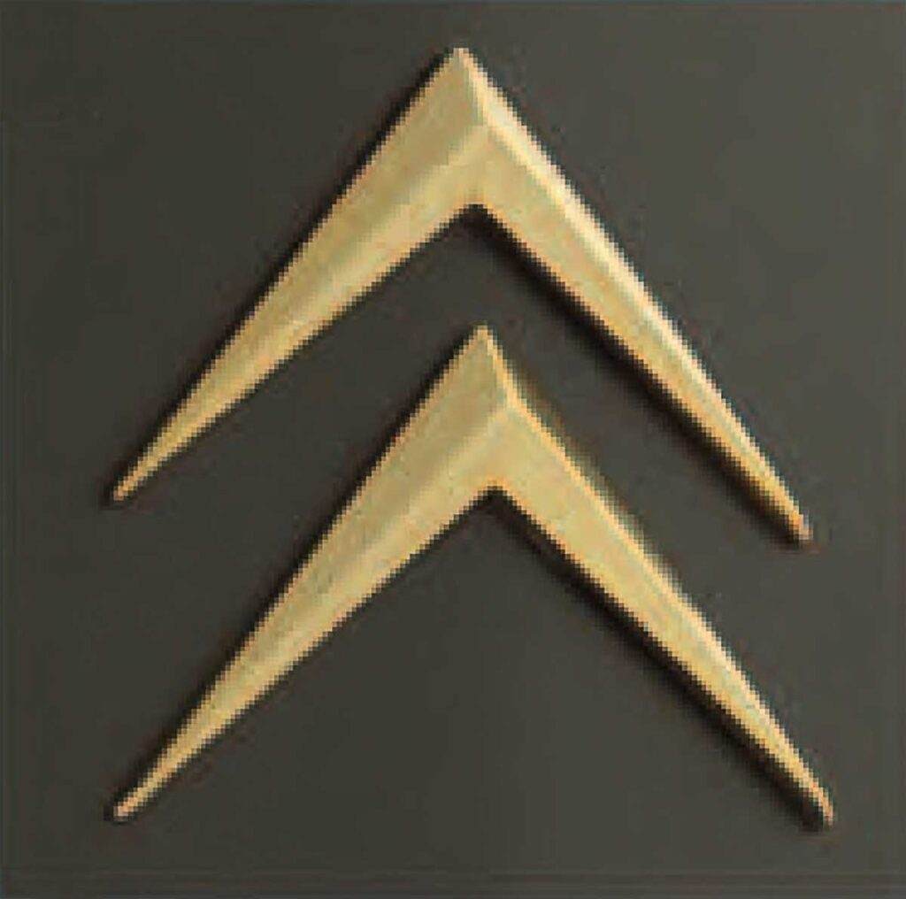 Citroën DS - Vintage Paparazzi