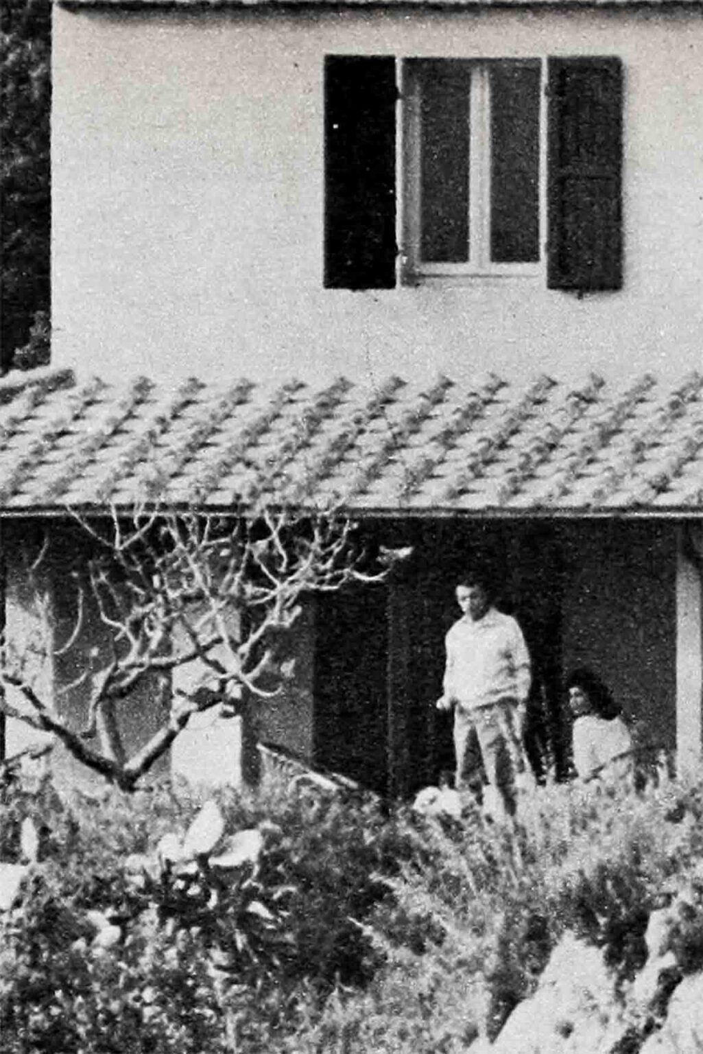 The Terrible Truth About Elizabeth Taylor As A Mother - Vintage Paparazzi